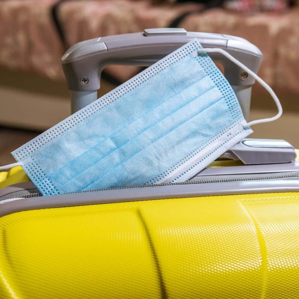 Face Mask Travel Kit - 10 Pack (Surgical Style) | Protectly